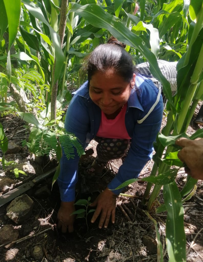 Proyecto Adaptación al Cambio Climático en el Corredor Seco de ...