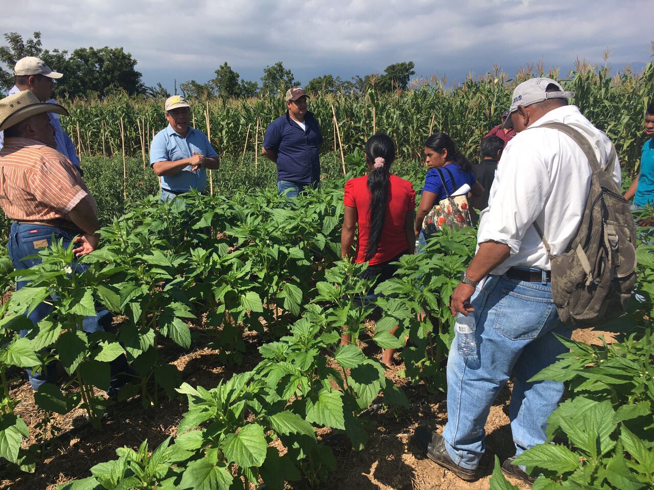 Proyecto Adaptación al Cambio Climático en el Corredor Seco de ...
