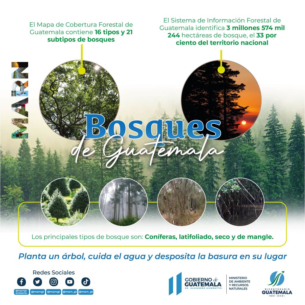 Día del Árbol - Ministerio de Ambiente y Recursos Naturales