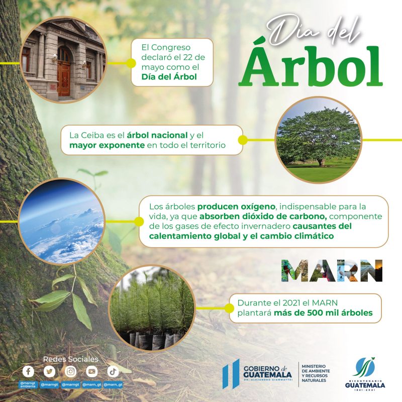 Día del Árbol - Ministerio de Ambiente y Recursos Naturales