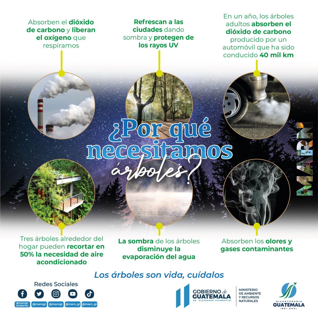 Día del Árbol - Ministerio de Ambiente y Recursos Naturales