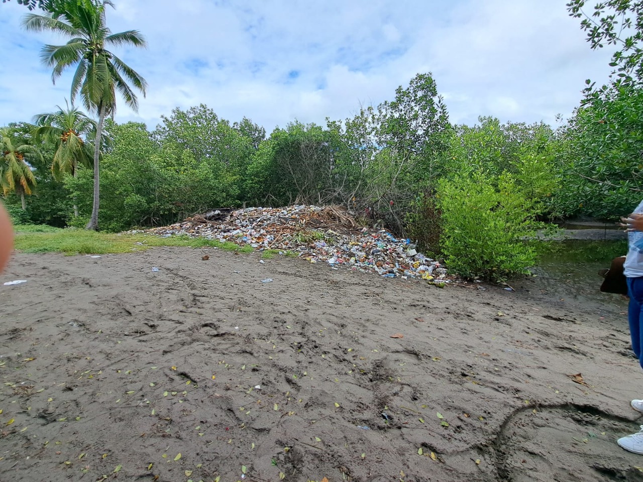 MARN lidera jornada de saneamiento en playa de Tulate - Ministerio de ...