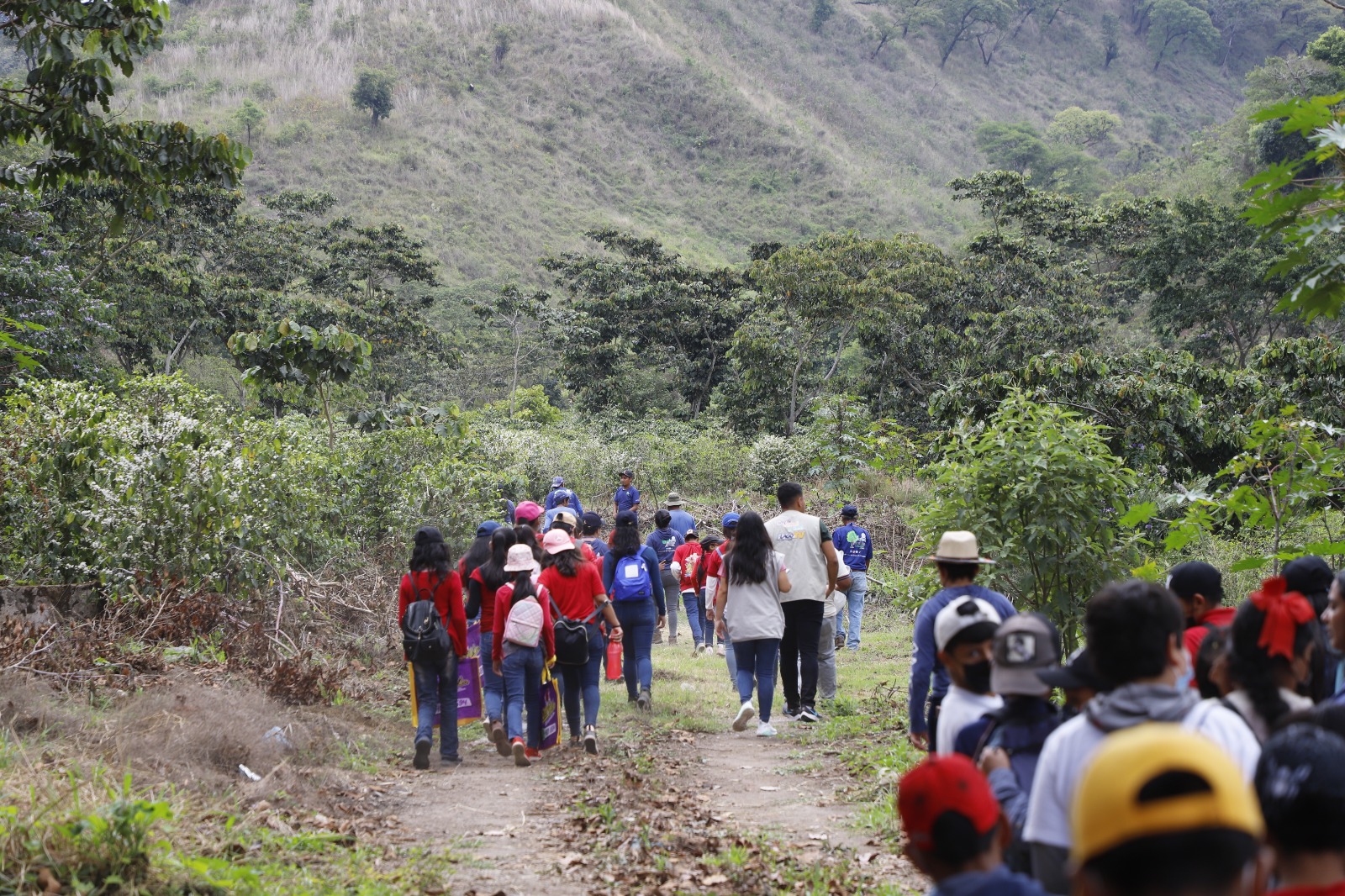 Un árbol por el lago de Amatitlán, “Impulsando la protección ambiental ...