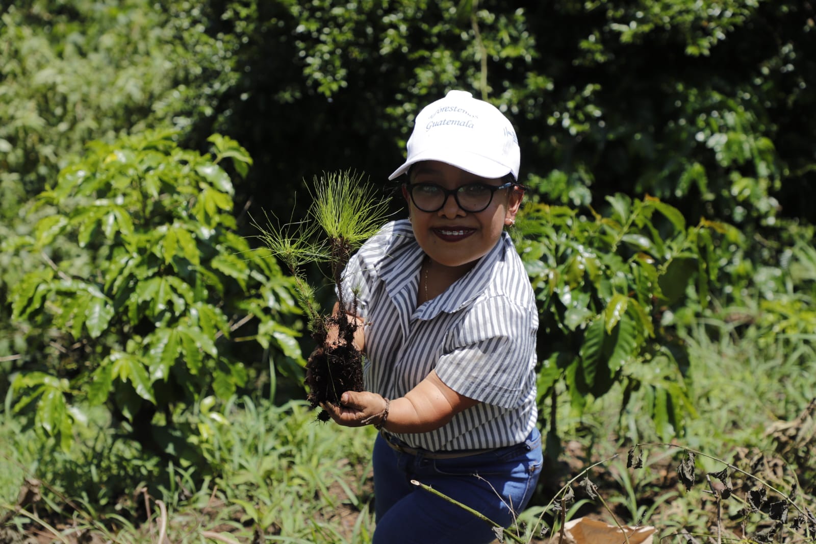 “Viernes de Reforestación” es un éxito con 4,100 árboles plantados ...
