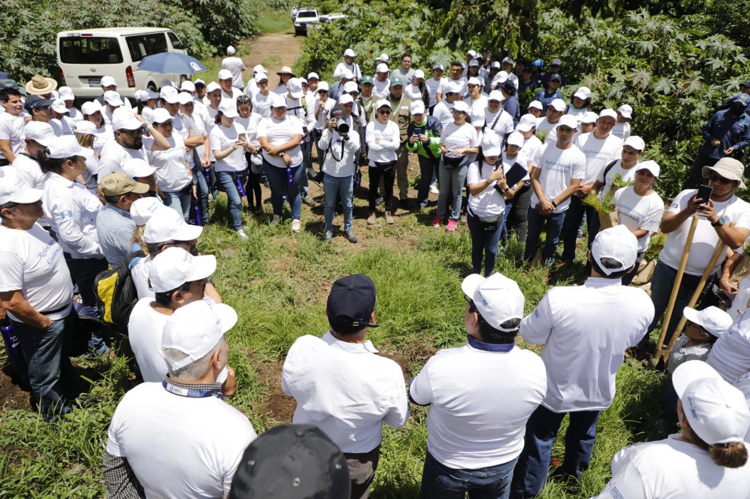 “Viernes de Reforestación” es un éxito con 4,100 árboles plantados ...
